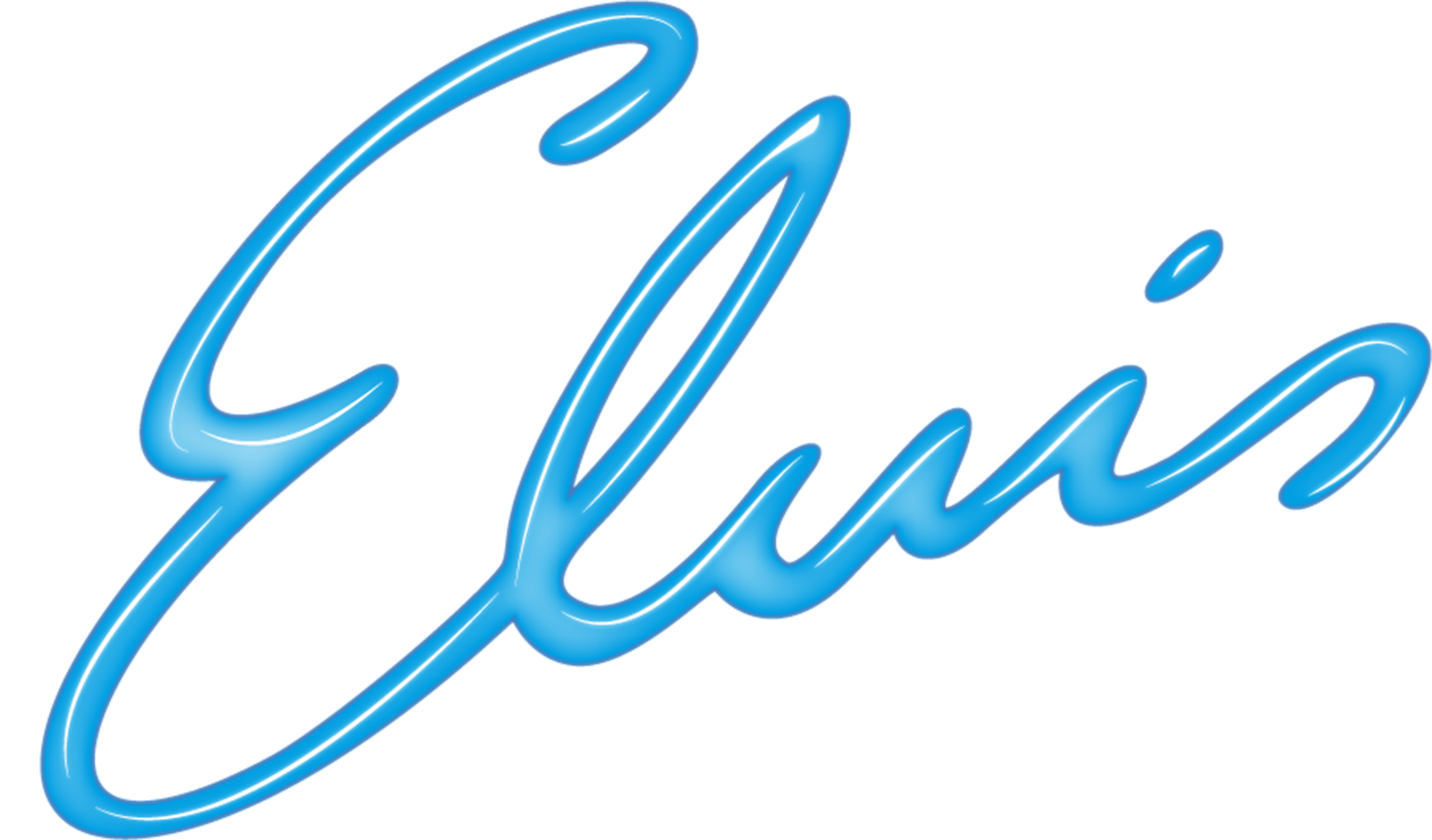Home | The Elvis Years